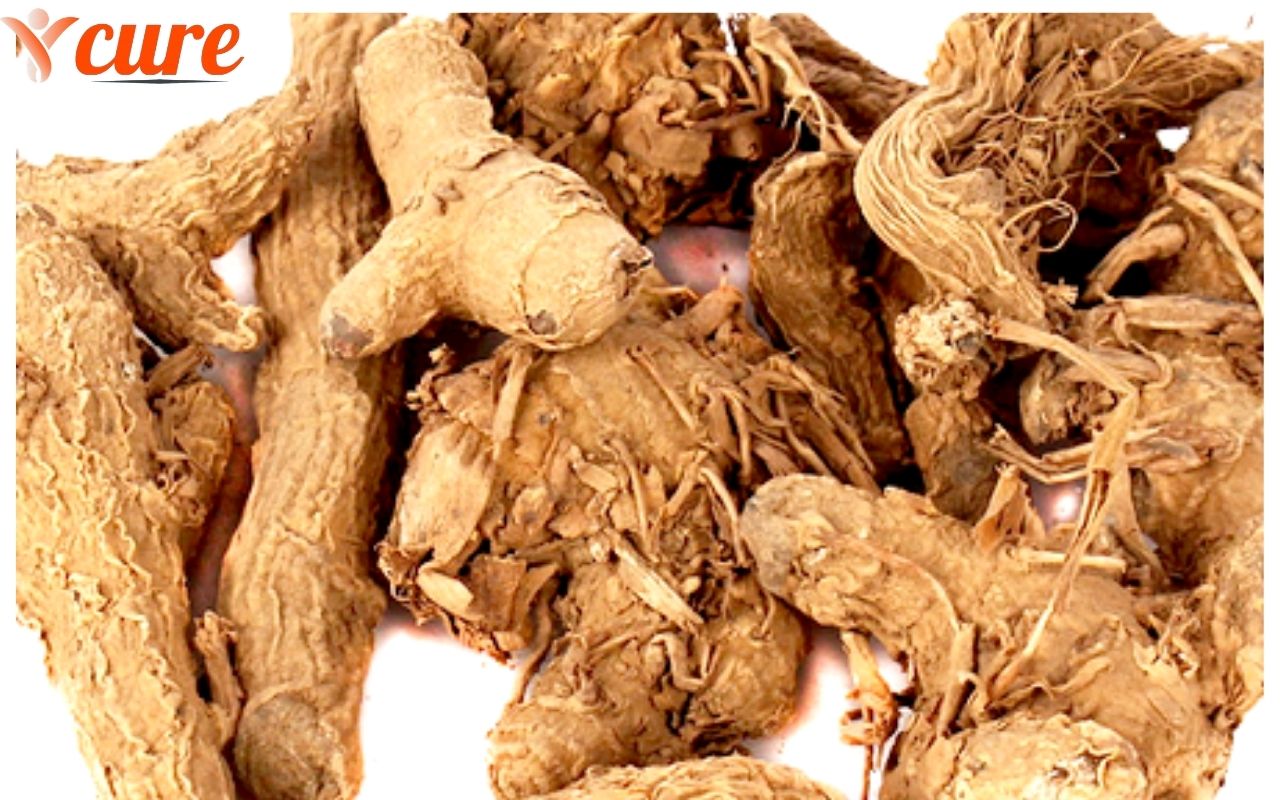 11 Ayurvedic Herbs Work Like Magic in Relieving Period Cramps” - V Cure